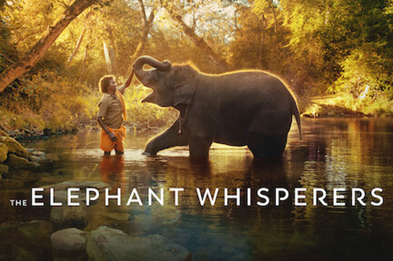 Oscar to ‘The Elephant Whisperers’ gives a fillip to India’s ...