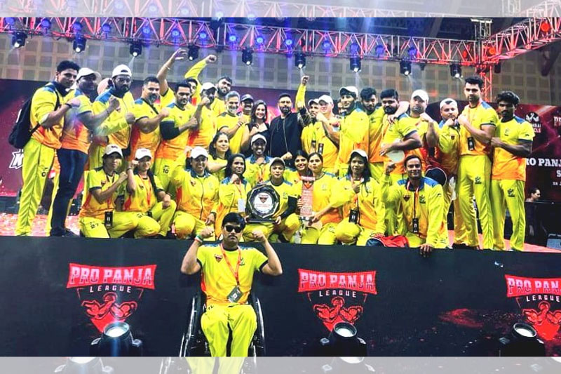 Pro Panja League: Origin, Categories, Teams, Winner- All Details