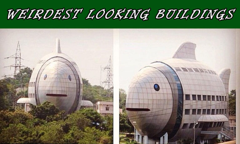 Hyderabad's Iconic 'Fish Building' Named Among the Weirdest Looking ...