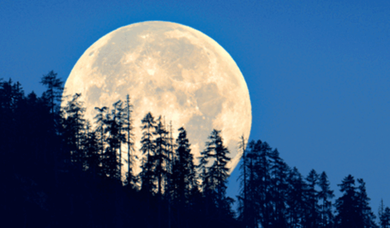 On Paush Purnima, first ‘Wolf Supermoon’ to light up the sky today