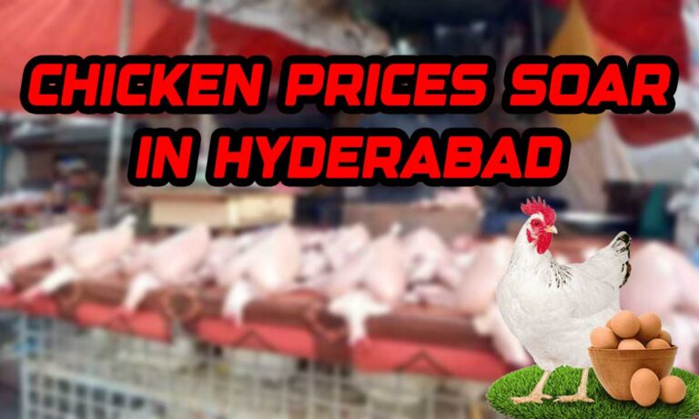 Chicken Prices Soar in Telangana, Skinless Chicken Hits Record High in ...