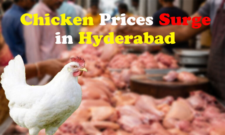 Chicken Prices Surge in Hyderabad During Wedding Season, Check Latest ...